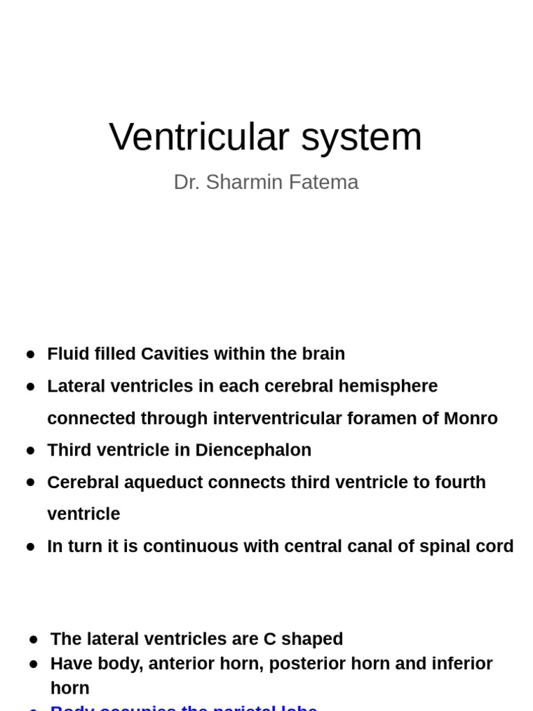 Ventricular System | PDF | Home & Garden | Art