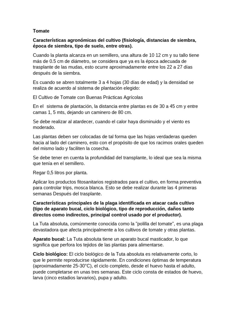 Actividad Individual MIP | PDF