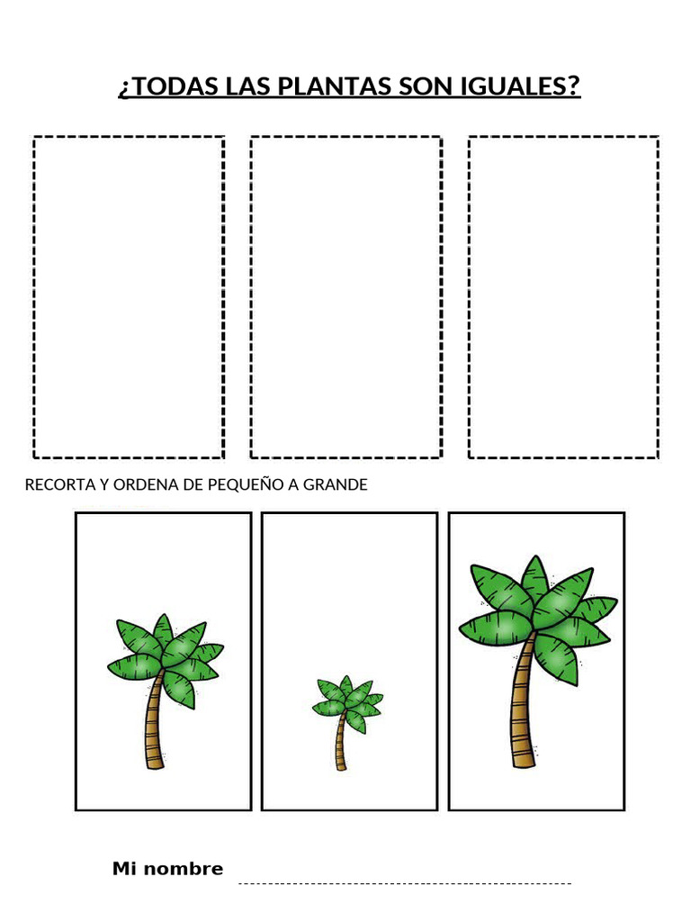 Hoja de Aplic 18 Set | PDF