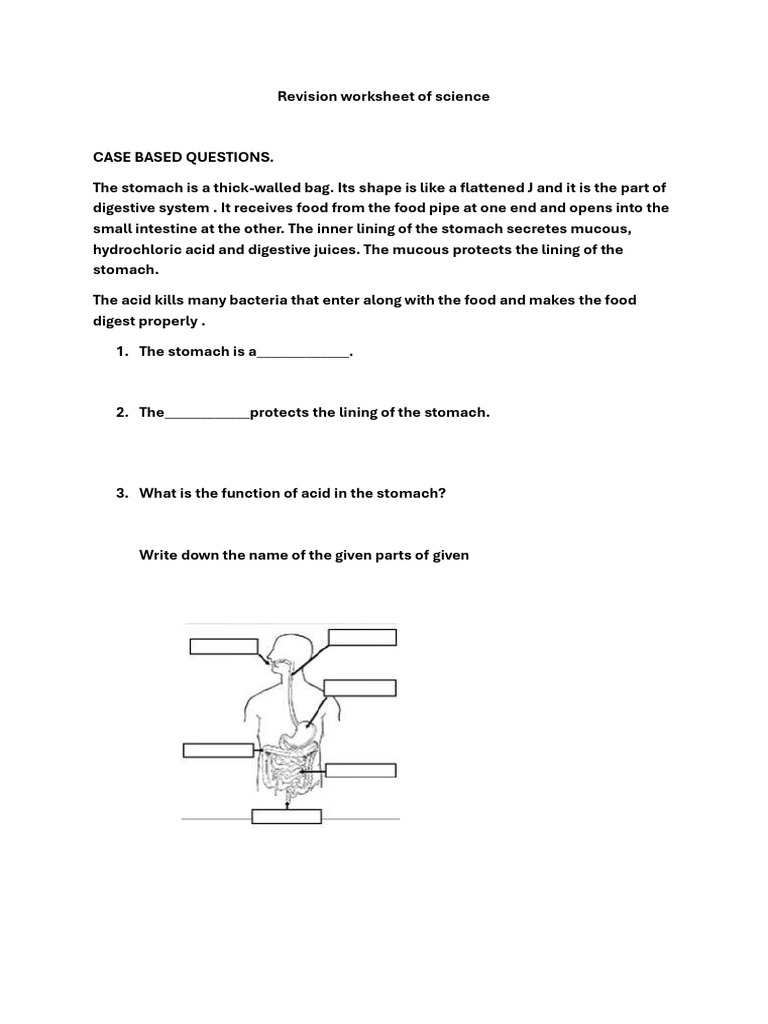 Revision Worksheet 3 | PDF | Wellness