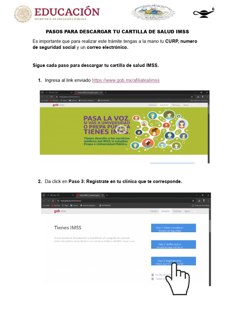 Pasos para Descargar Tu Cartilla de Salud Imss | PDF