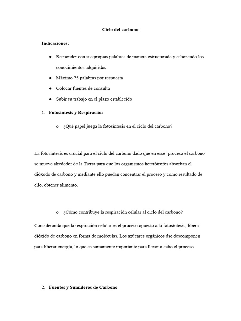 Ciclo Del Carbono Actividad | PDF | Ciclo del carbono | Fotosíntesis
