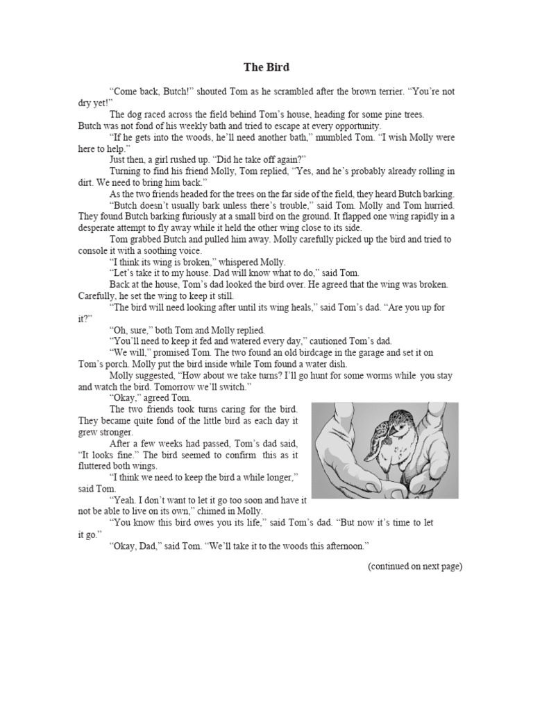 Reading Materials (2) | PDF | Clock | Watch