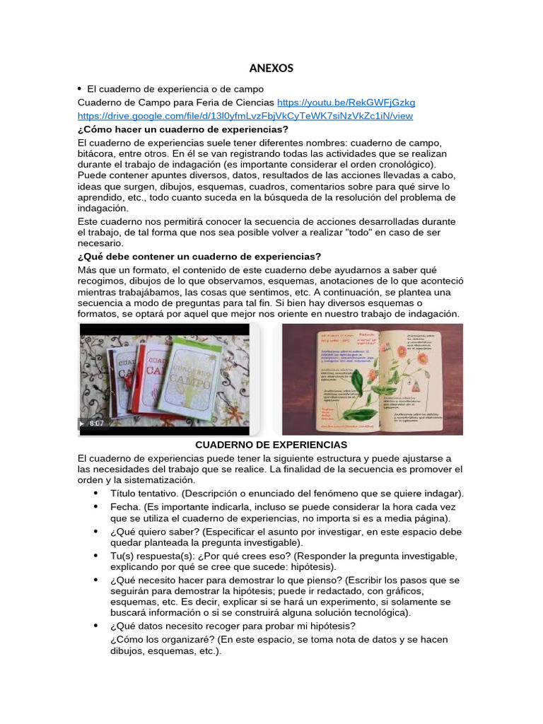 Aa Niños Comu Informe Cientifico | PDF | Hipótesis | Science