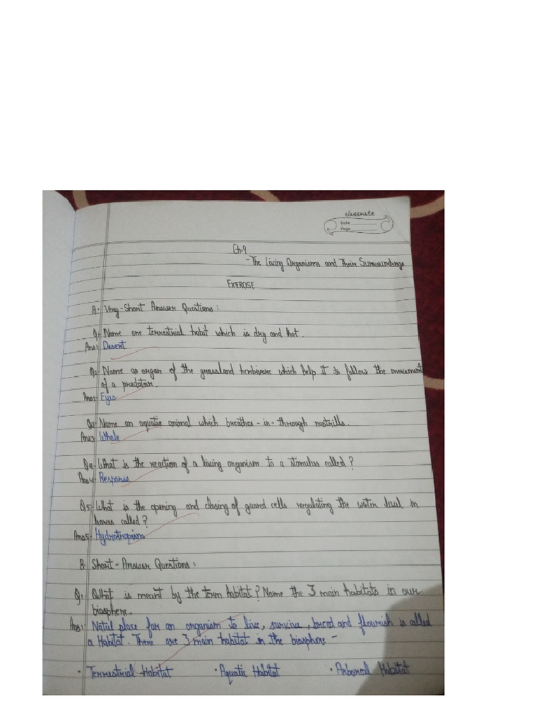 Class-6 Science, Ch-9 and 16 | PDF