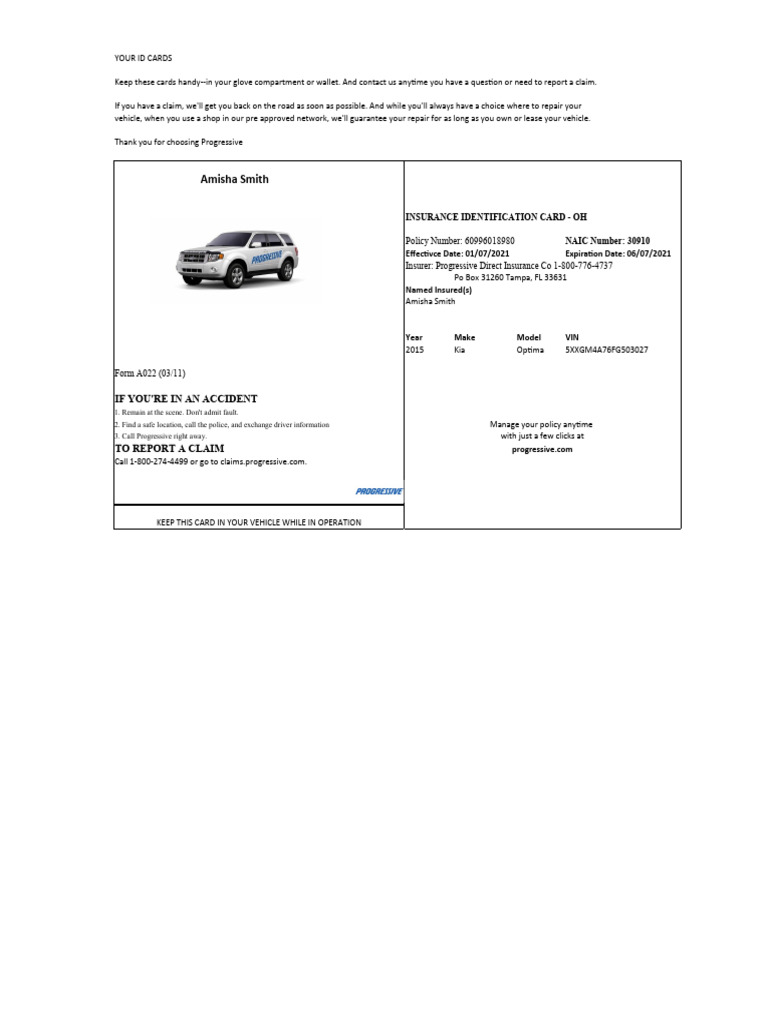 Car Insurance | PDF