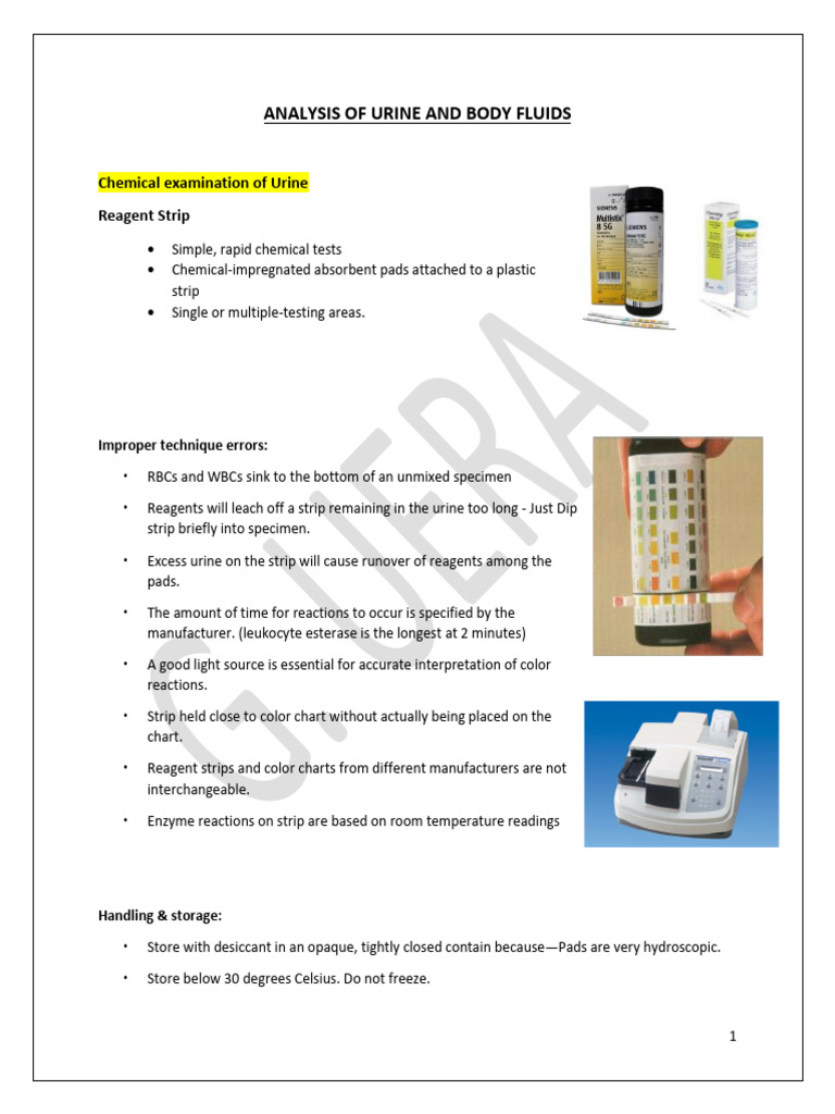 Aubf Lab Chemical Examination of Urine | PDF | Kidney | Urine