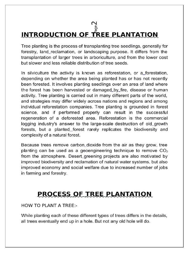 Sewa Project (TREE PLANTING) | PDF | Mulch | Trees
