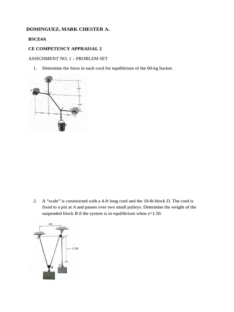 Ass Appraisal | PDF | Science & Mathematics | Technology & Engineering