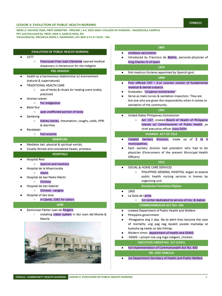 Evolution of Public Health Nursing | PDF | Health Policy | Health Care