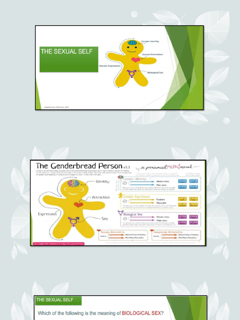 Gender Identity, Biological Sex, Gender Orientation & Expression | PDF