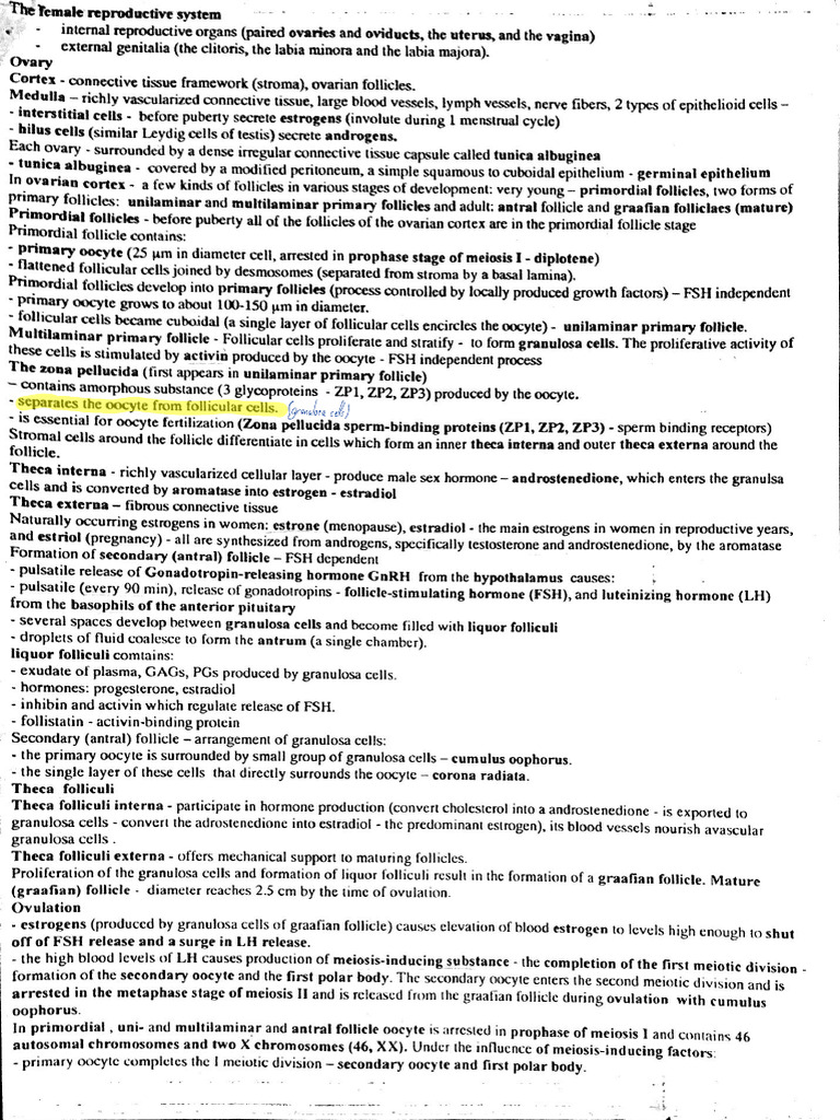 Ch20 Female Reproductive System | PDF