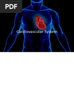 BTEC Sport Cardiovascular System Guide | PDF | Heart | Artery