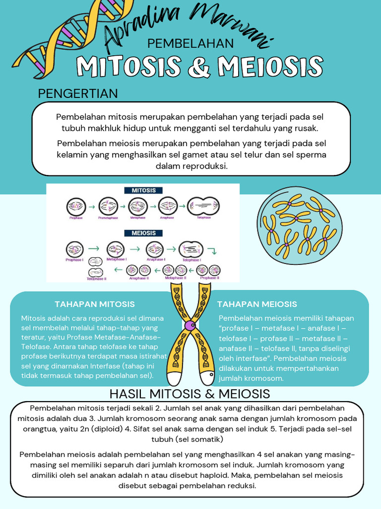 Apradina Marwani - Mind Map 4 - Genetika | PDF