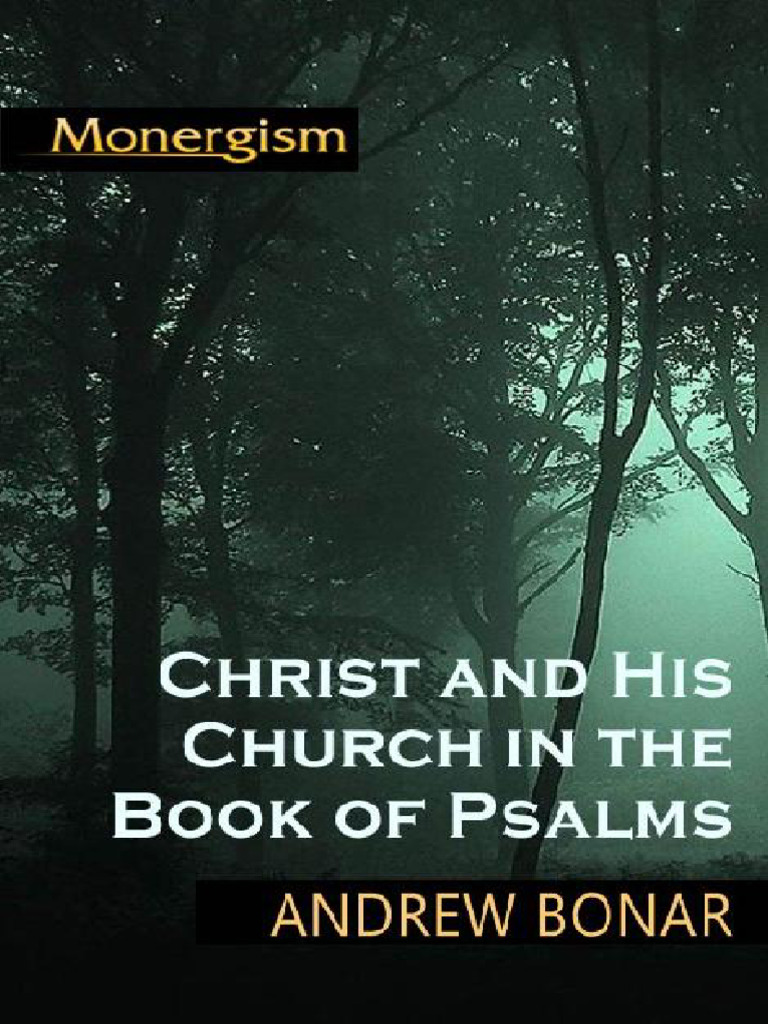 Christ and His Church in the Bo - Andrew Bonar | PDF | David | Jesus