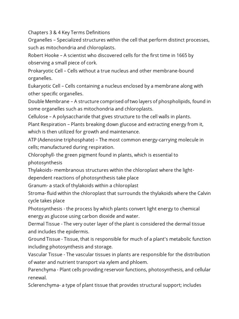 Key Plant Biology Terms Explained | PDF | Plant Stem | Leaf