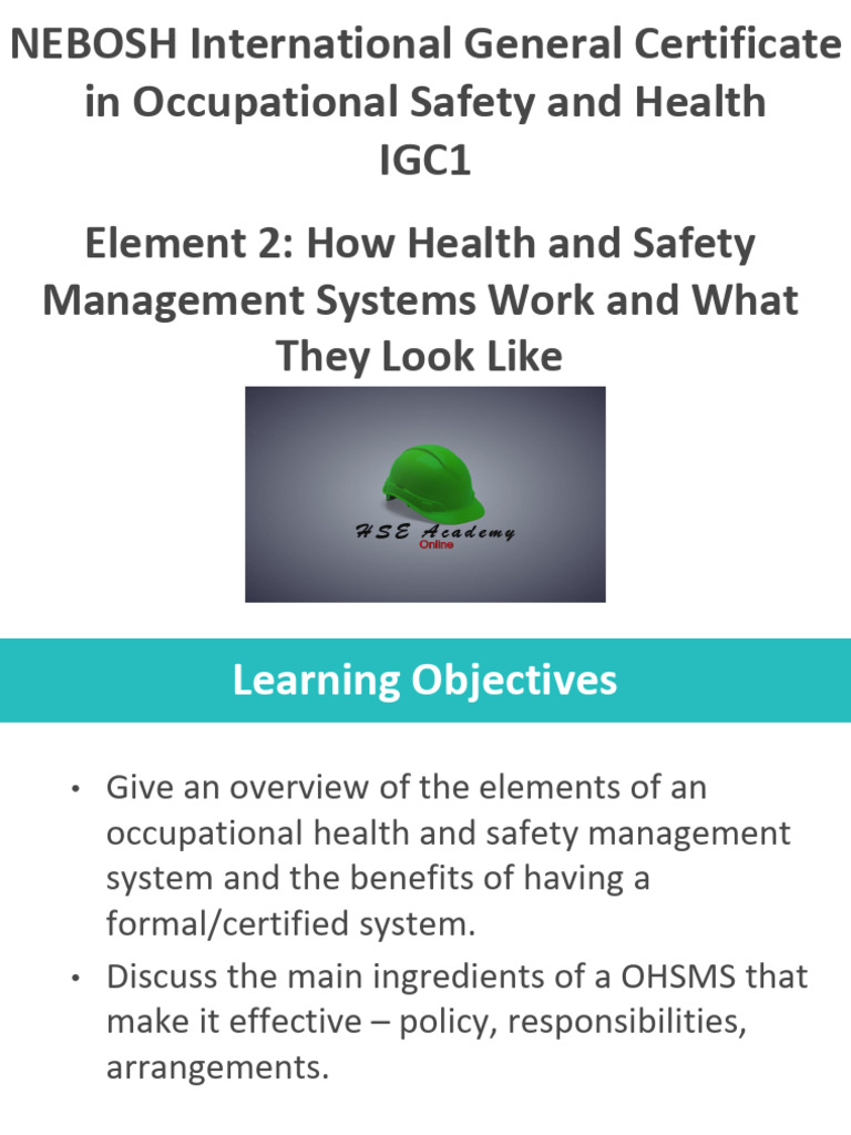 IG1 E2 | PDF | Occupational Safety And Health | Policy