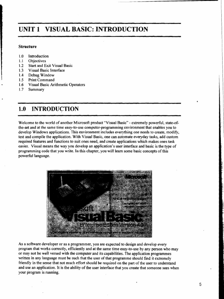 Visual Basic Programming Basics | PDF | Window (Computing) | Basic