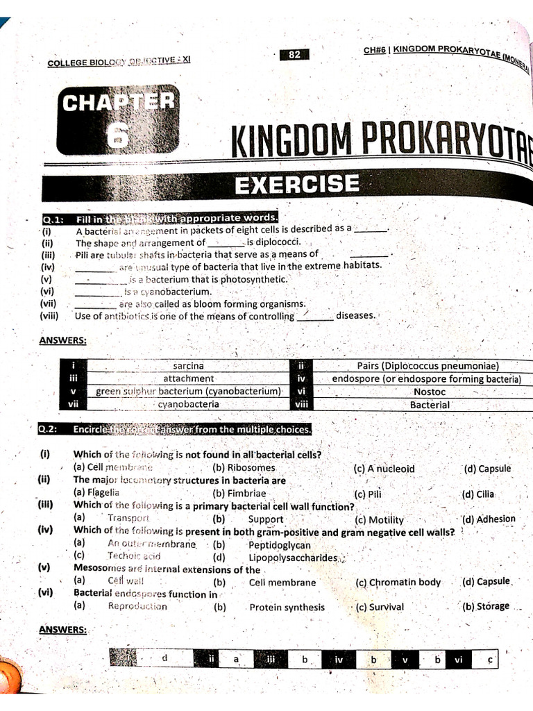 Chapter # 6 Objectives | PDF