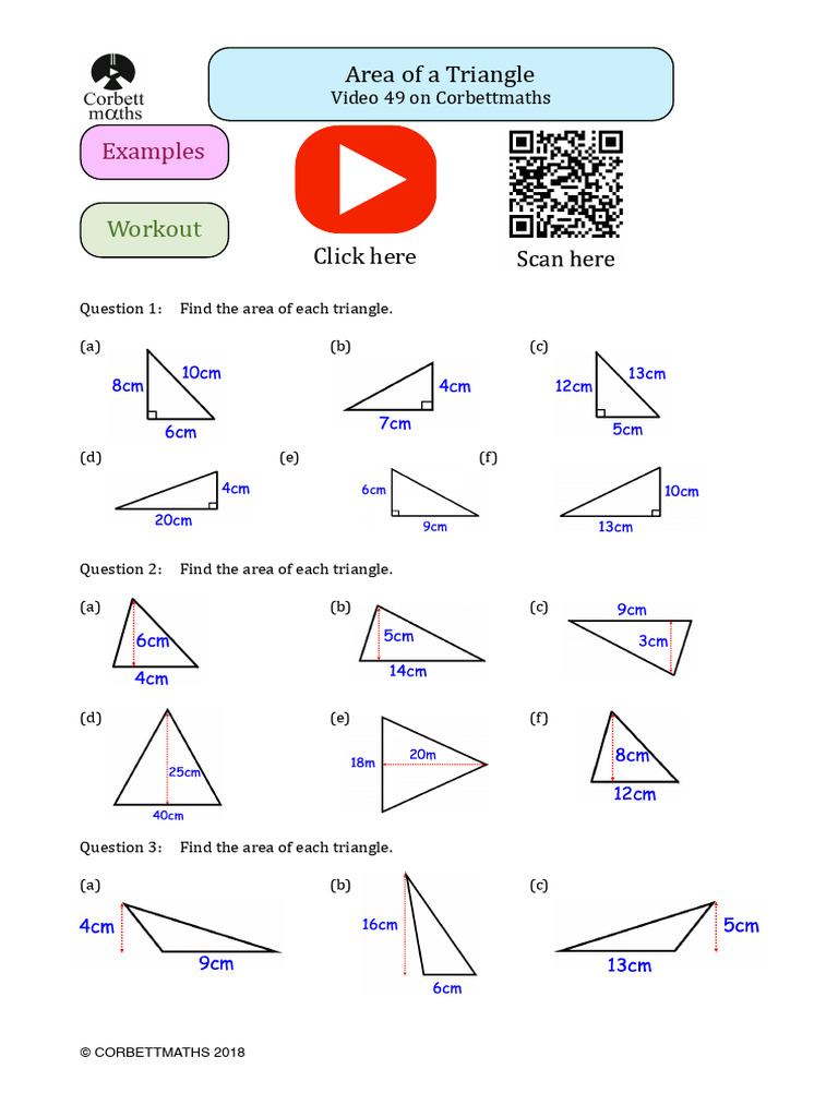Area of Triangle Exercises and Solutions | PDF