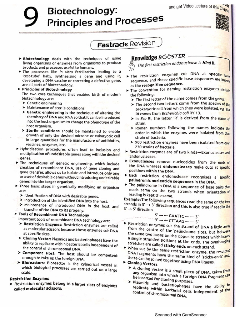 Class 12, Biotechnology Principles and Processes Notes and Worksheet | PDF