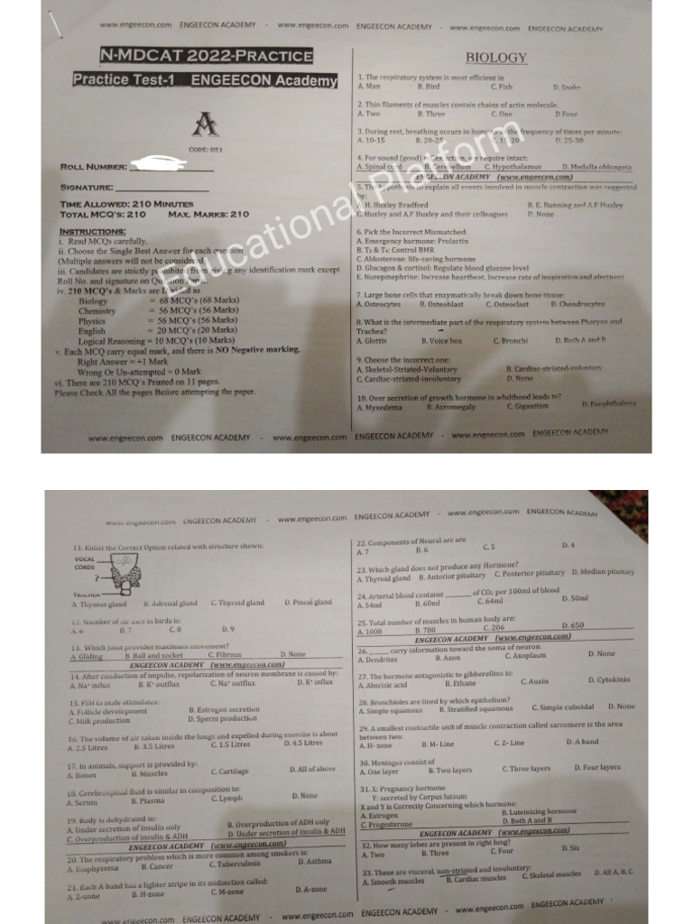 Engecon FLP 11 Solved Explanation | PDF