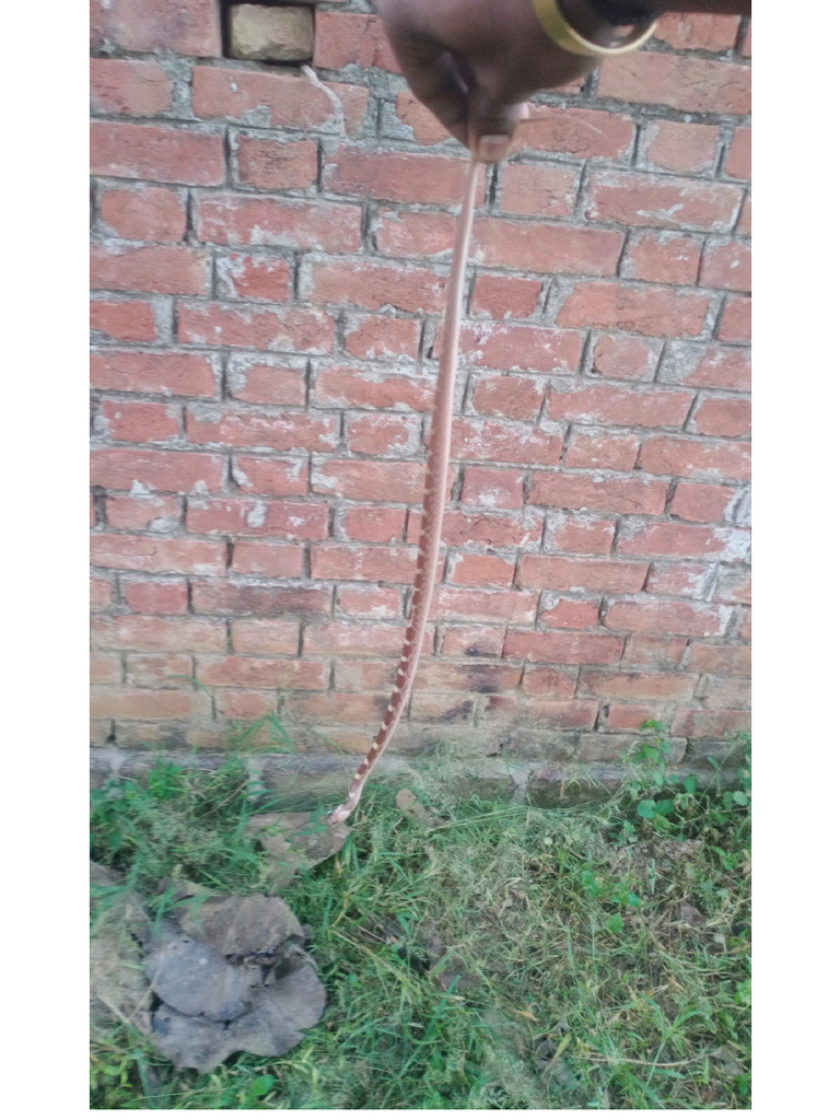 PDF Gallery - 20241020 - 122131 | PDF