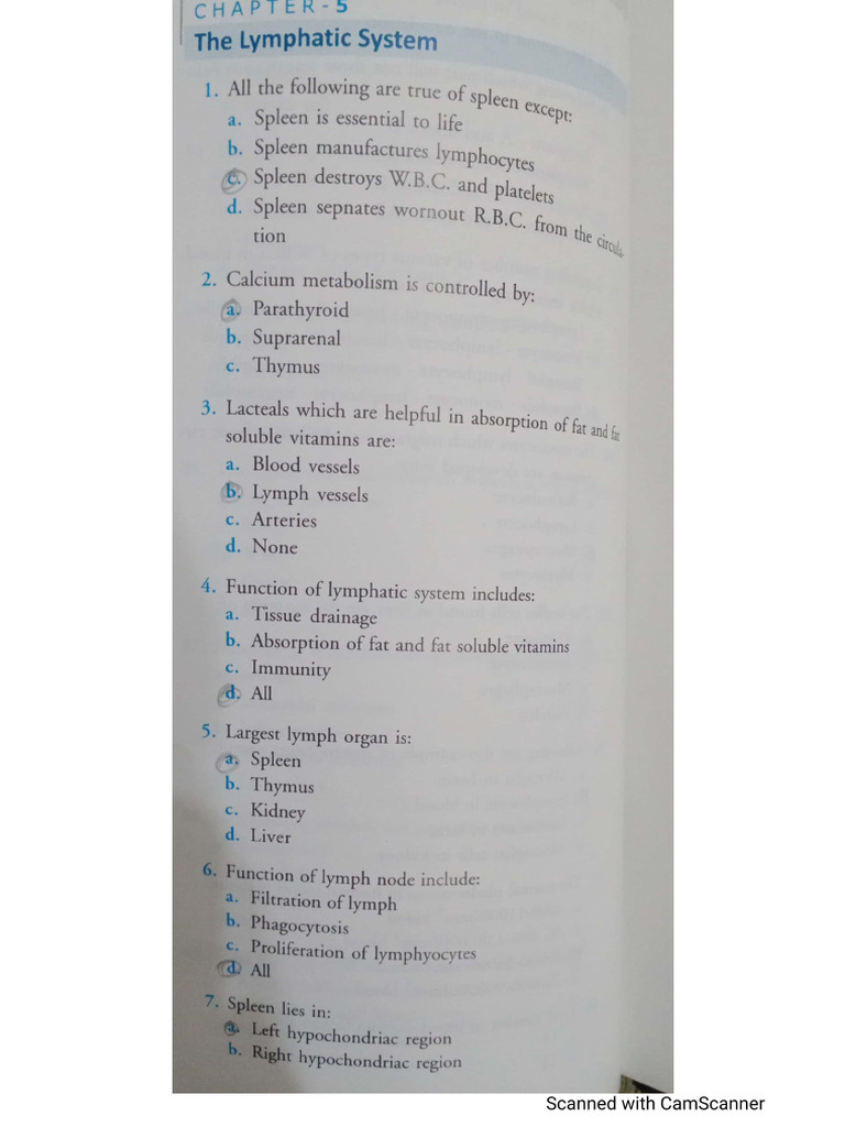 lymphatic system mcqs | PDF