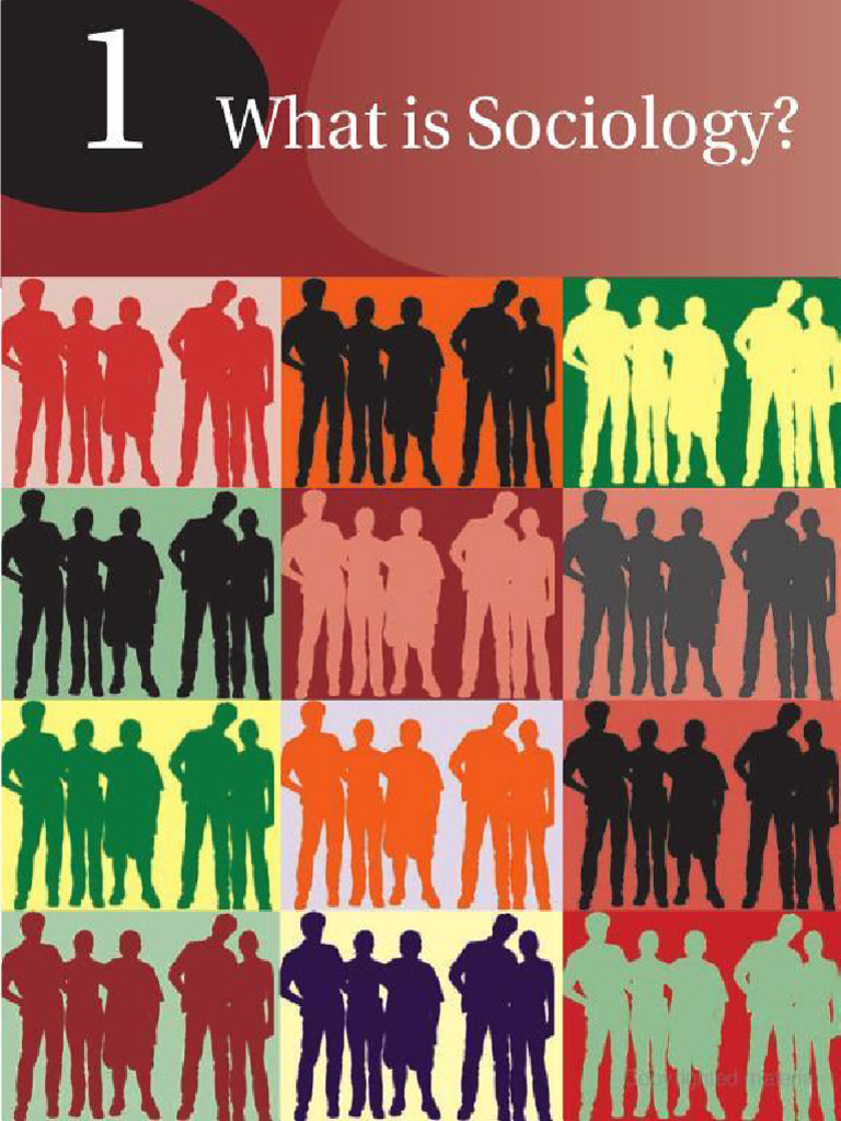 Anthony Giddens - Sociology (5ition) - Polity Press (2006) (1) 30 | PDF