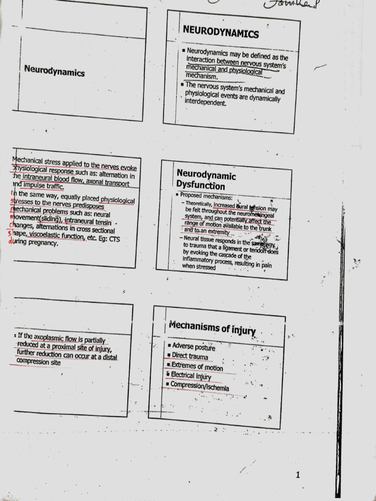 neuro dynamics.. | PDF | Anatomical Terms Of Motion | Nervous System