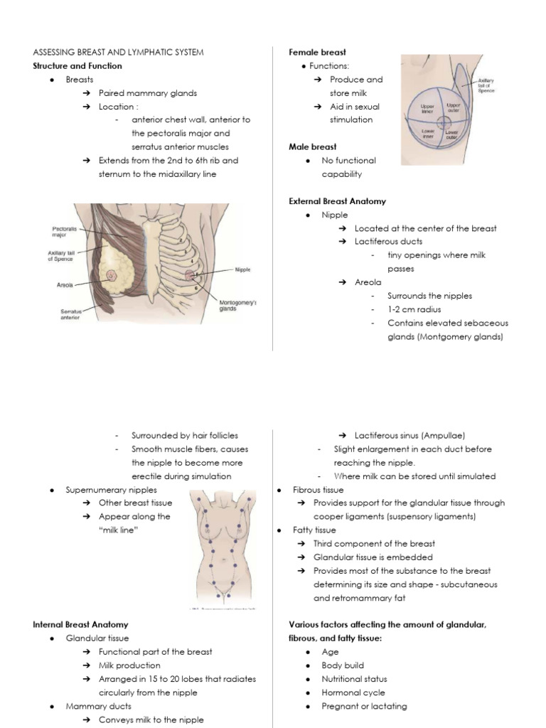 Assessing Breast and Lymphatic System | PDF | Breast | Nipple