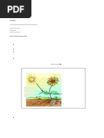 GRADE 7 BIOLOGY 2023-24 TEXTBOOK Edited | PDF | Photosynthesis | Plants