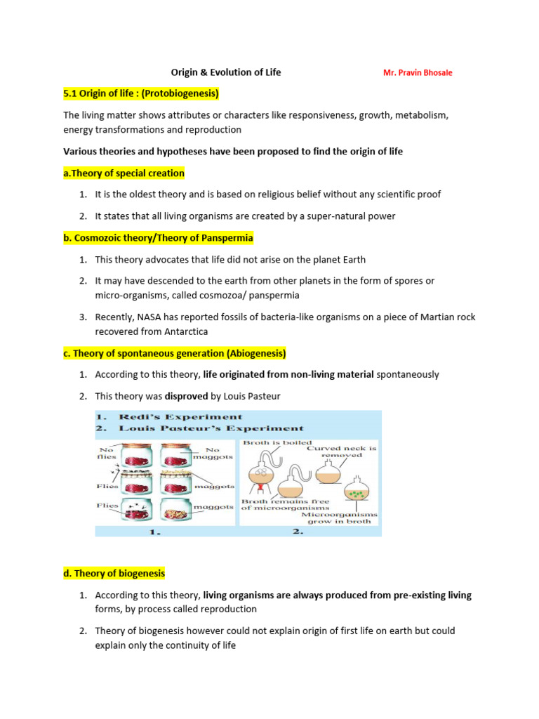 Theories of Life's Origin Explained | PDF | Natural Selection | Rna