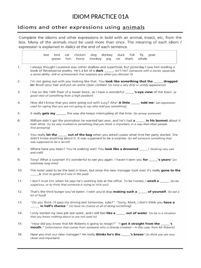 Idiom Practice 01a | PDF
