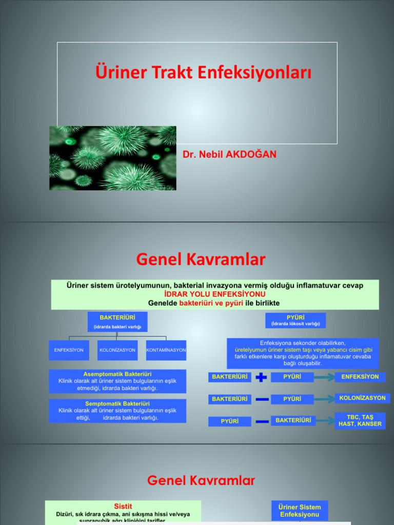 Uriner_Trakt_Enfeksiyonlari | PDF