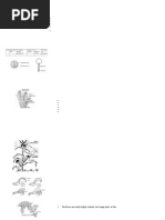 Designated Medical Event Dme List en | PDF | Hepatitis | Ischemia