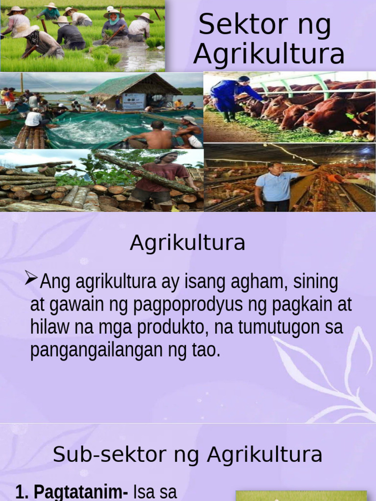 Sektor NG Agrikultura | PDF