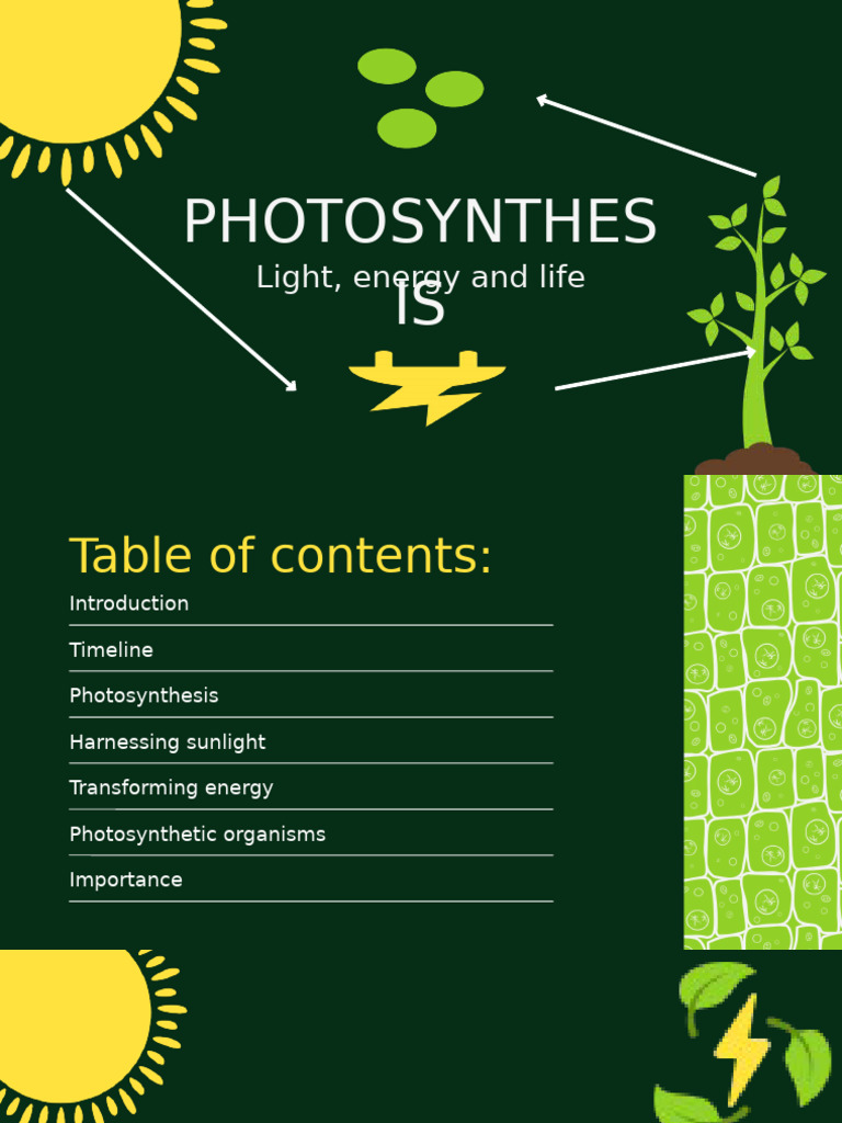 Biology Photosynthesis Presentation in Green Yellow Illustrative Style ...