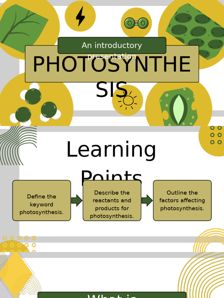 Photosynthesis Biology Presentation in A Green Yellow Bold Style | PDF ...