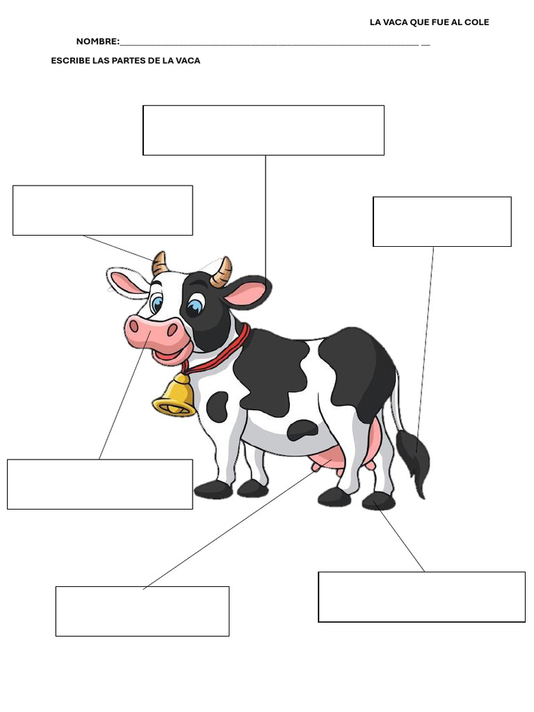 Partes de la Vaca para Niños | PDF