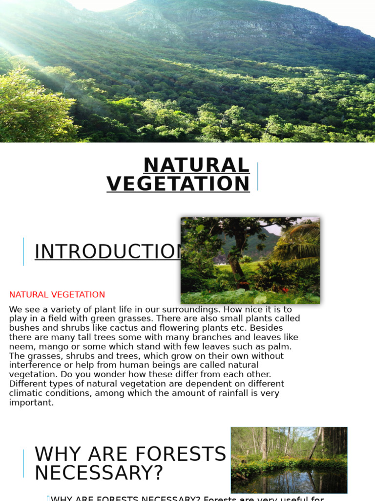 Introduction to Natural Vegetation | PDF | Plants | Forests