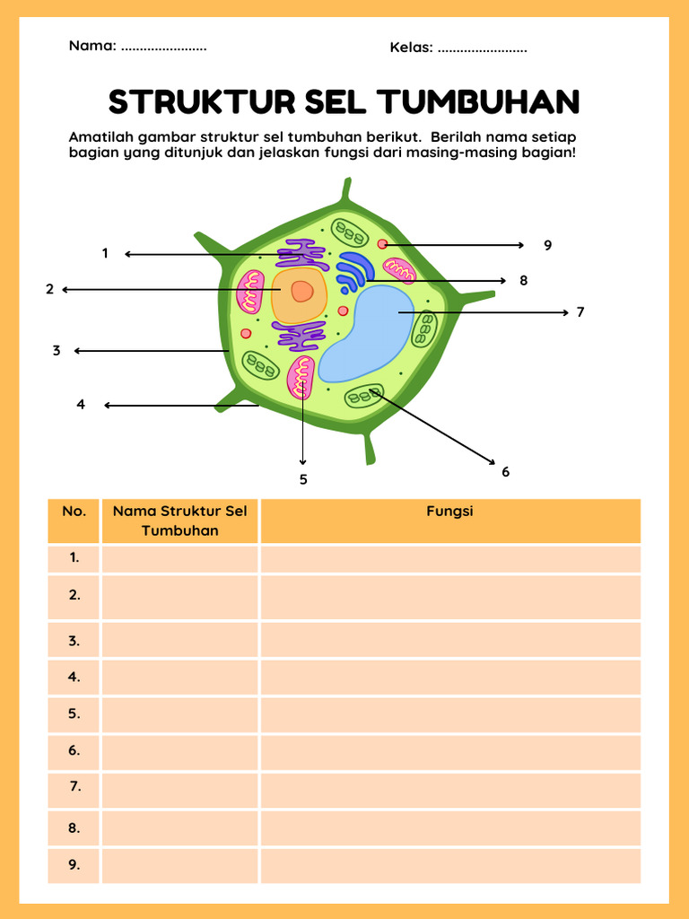 Struktur dan Fungsi Sel Tumbuhan | PDF