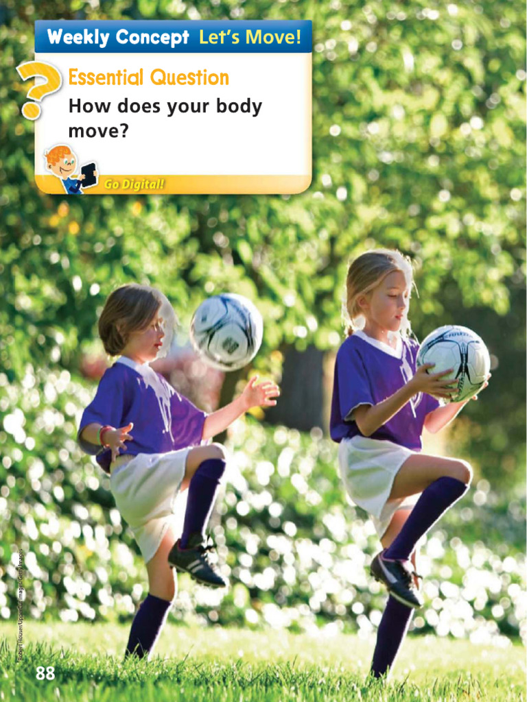 Wonders Workshop+Practice Grade 1 Unit 1 Week 5 | PDF | Phonics