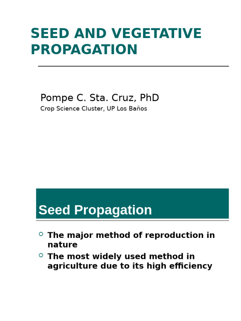 Seed and Vegetative Propagation | PDF | Seed | Plants