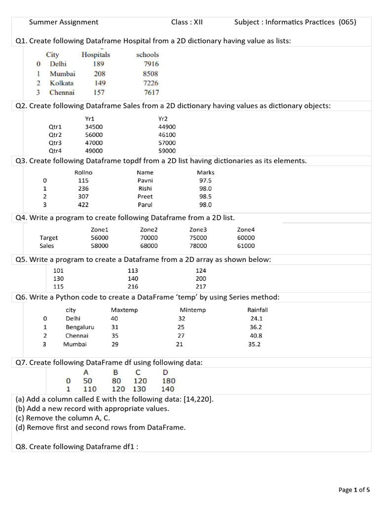 Class XII IP Summer Assignment | PDF | Computer Programming