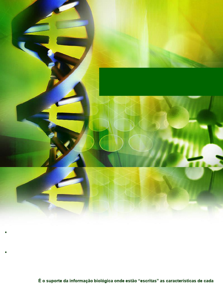 Estrutura e Função do DNA e RNA | PDF