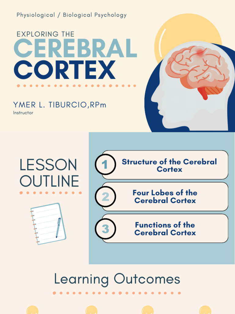 Exploring Cerebral Cortex | PDF | Cerebral Cortex | Parietal Lobe