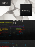 Spotvoël Verbeel Hom Hy Is | PDF