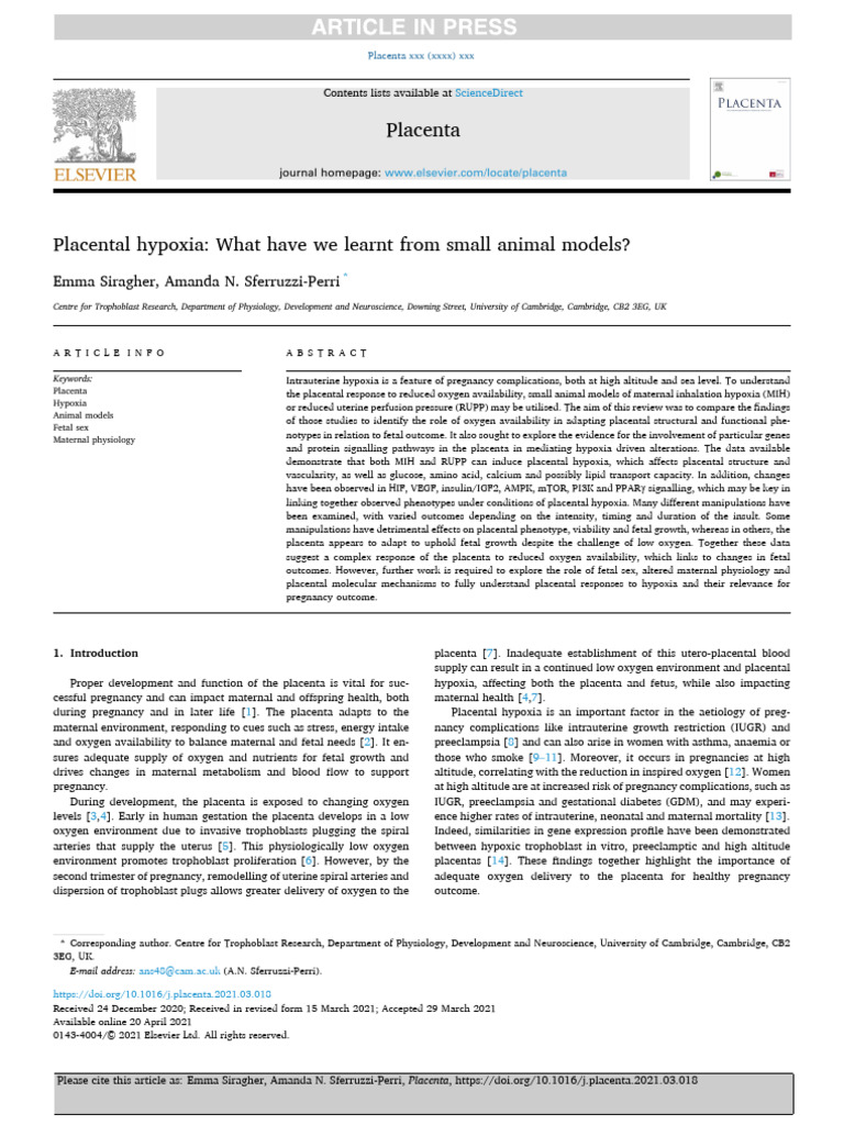 Placental Hypoxia What Have We Learnt From Small Animal Models | PDF ...