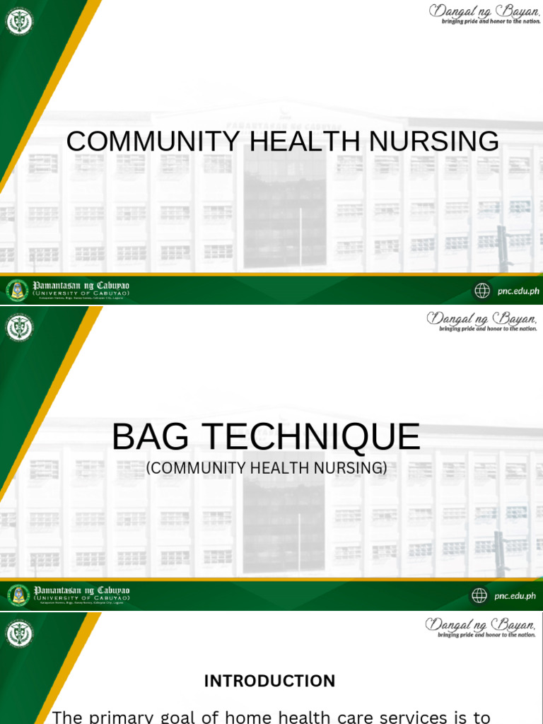 CHN Bag Technique and Community Health Nurse | PDF | Medical ...